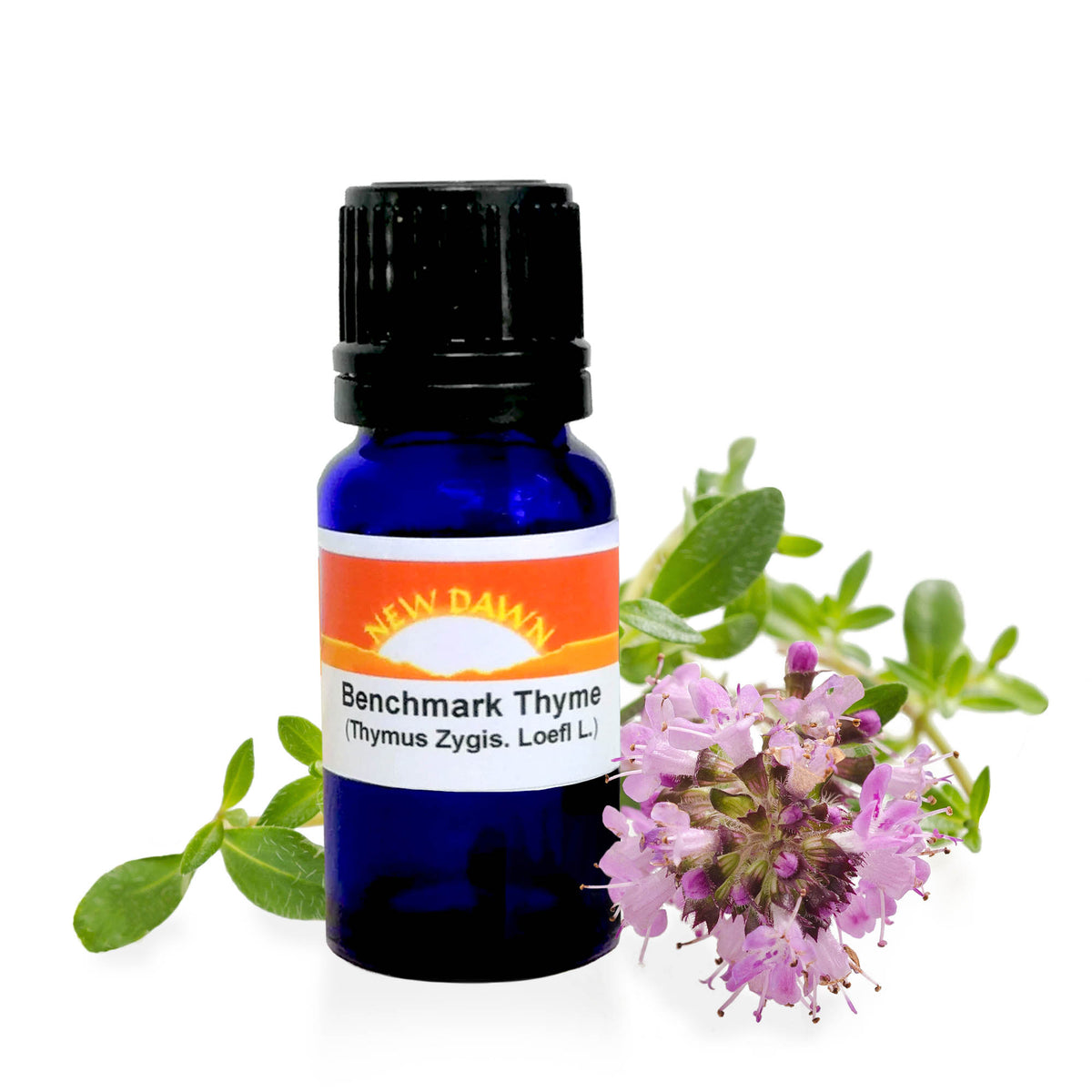 Benchmark Thyme Essential Oil | Natural | New Dawn UK